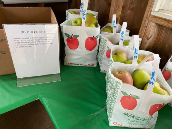 FRESH PICKED NORTHERN SPY APPLES AVAILABLE NOW - Tri-County Farms